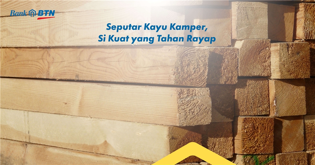 Seputar Kayu Kamper, Si Kuat yang Tahan Rayap