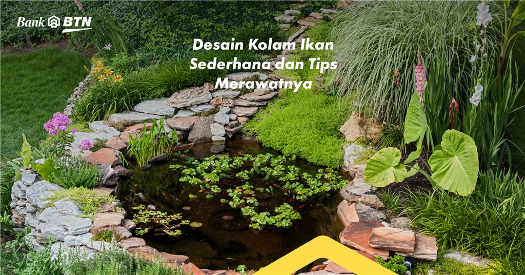 Desain Kolam Ikan Sederhana dan Tips Merawatnya
