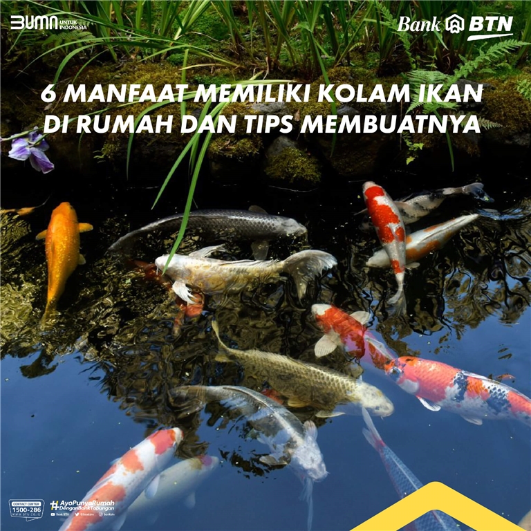 6 Manfaat Kolam Ikan di Rumah dan Tips Membuatnya