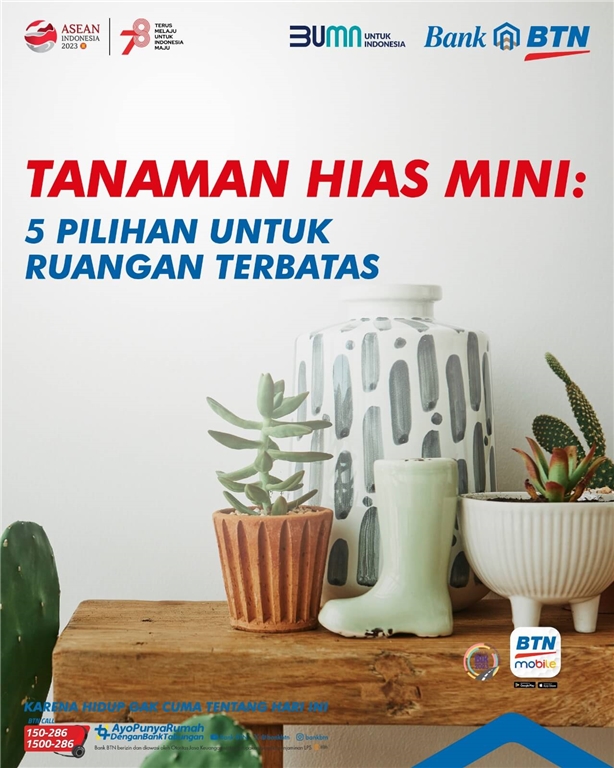 Tanaman Hias Mini Ruangan: 5 Pilihan untuk Udara Lebih Segar
