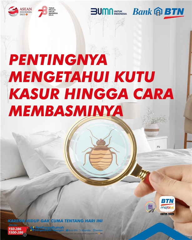 Pentingnya Mengetahui Kutu Kasur hingga Cara Membasminya