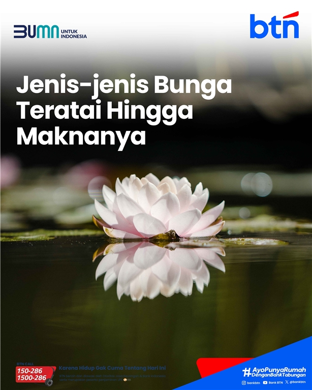 Jenis-jenis Bunga Teratai Hingga Maknanya
